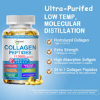 collagen peptides for skin elasticity