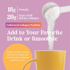 collagen peptides for skin health