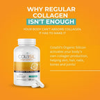 collagen peptides for youthful appearance