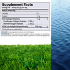 collagen peptides with MSM benefits
