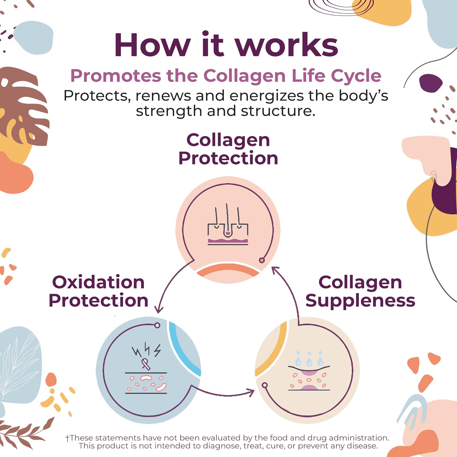 collagen powder for beauty benefits