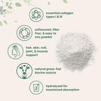 collagen powder for beauty routine