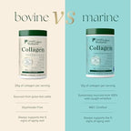 collagen powder for beauty routine