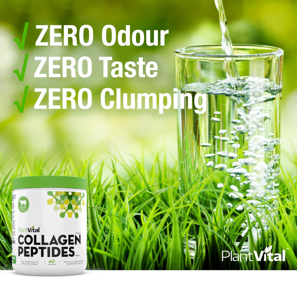 collagen powder for daily nutrition