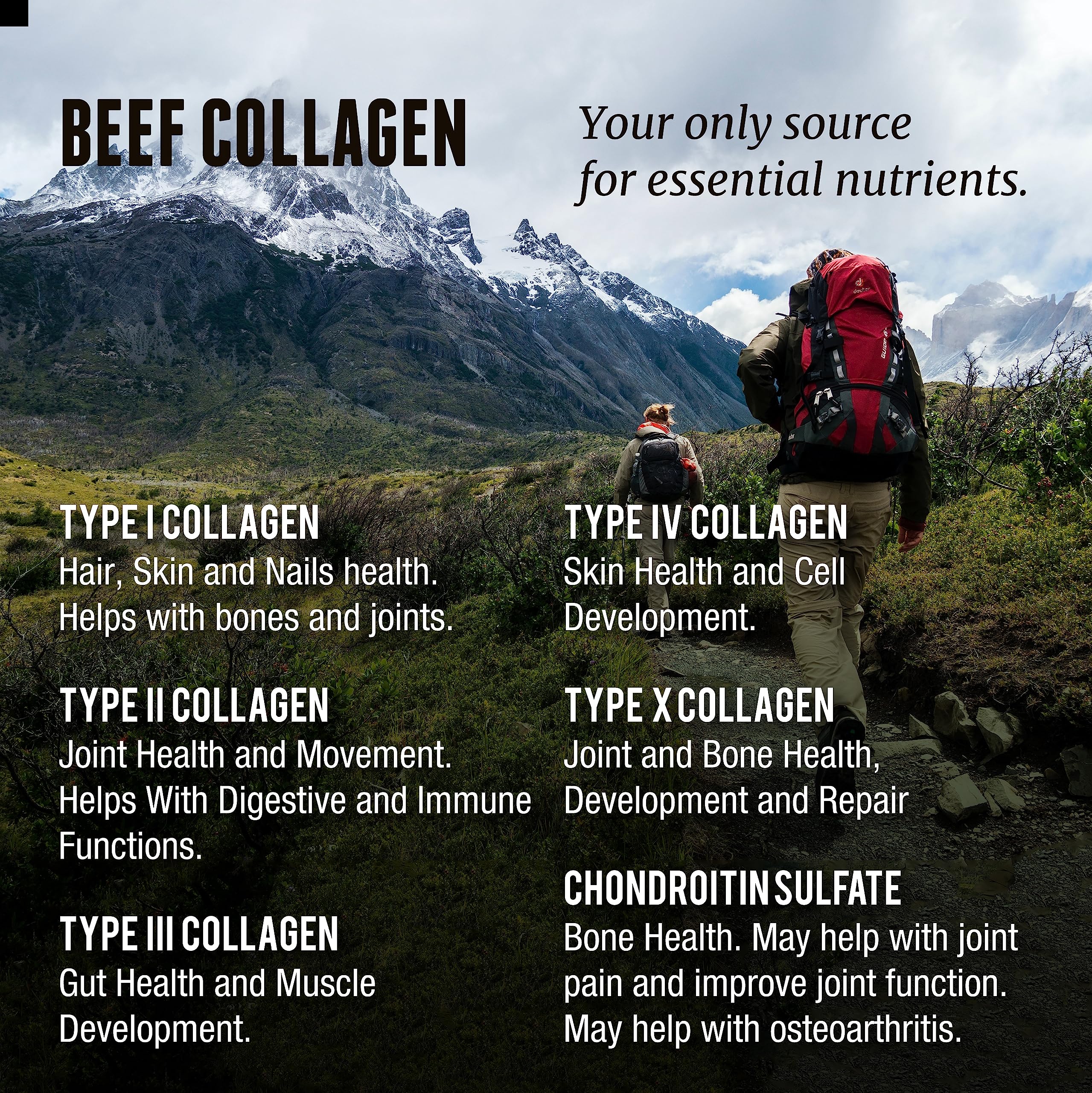 collagen powder for daily wellness