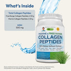collagen powder for joint health