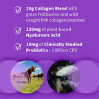 collagen powder for joint support