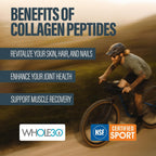 collagen powder for joint support