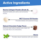 collagen powder for joint support