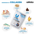 collagen powder for joint support