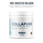 collagen powder for joint support