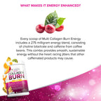 collagen powder for joint support