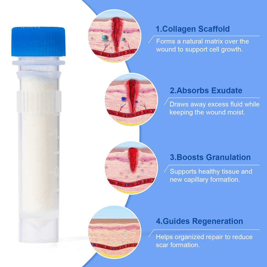 collagen powder for joint support