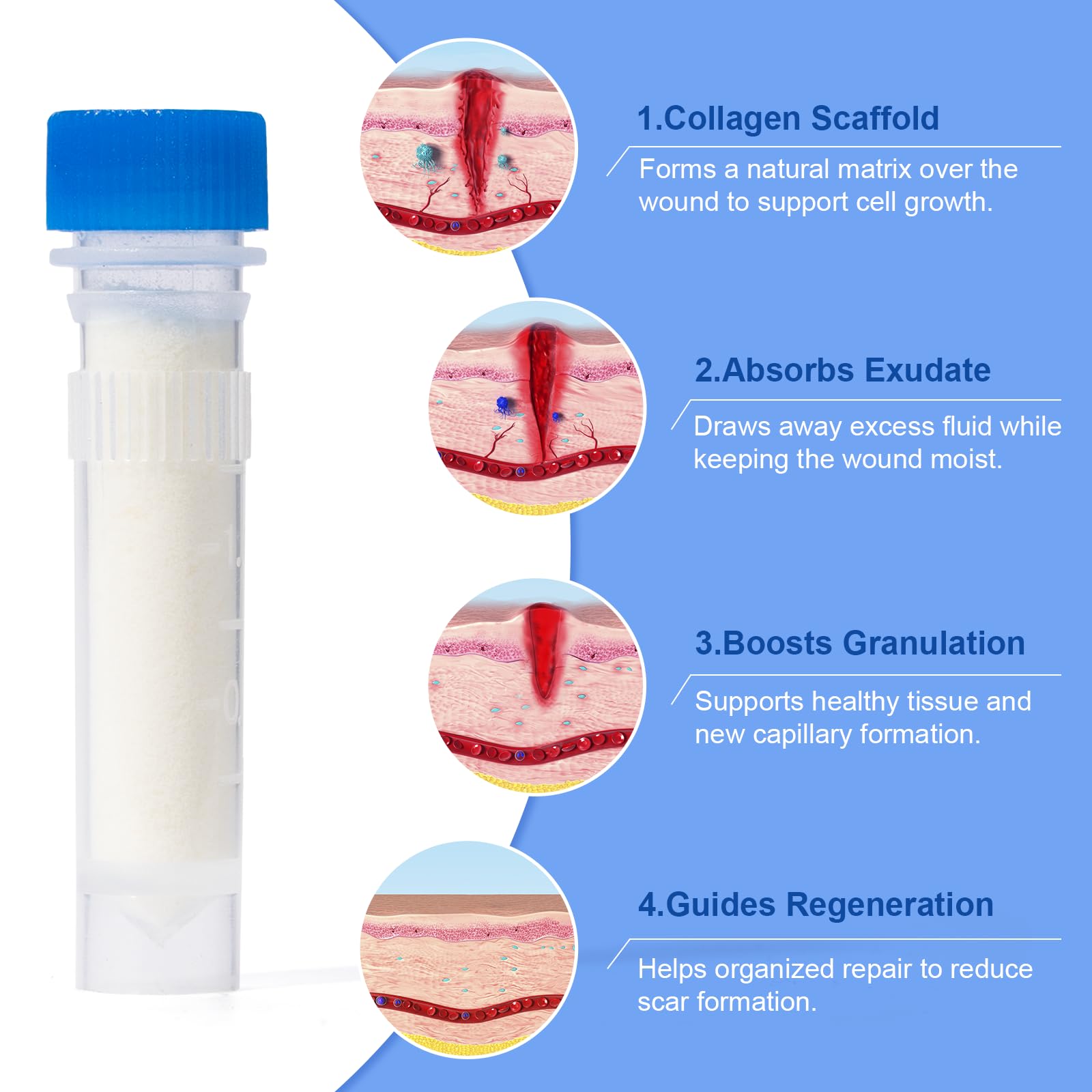 collagen powder for joint support