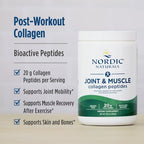 collagen powder for muscle recovery
