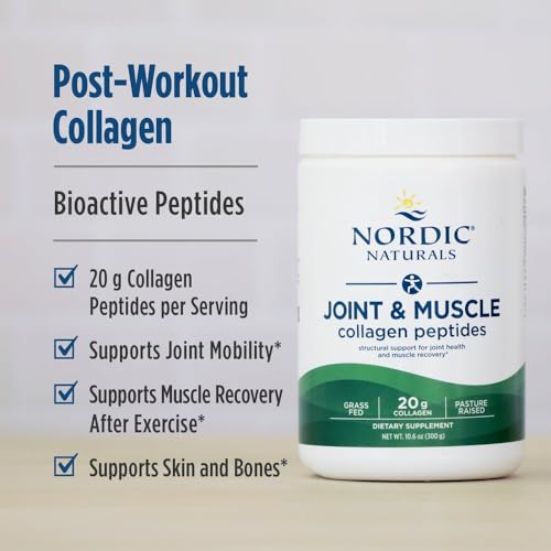 collagen powder for muscle recovery