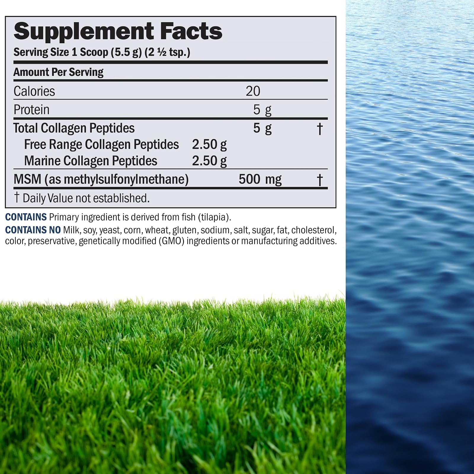 collagen powder with MSM for joint support