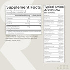 collagen protein for muscle recovery