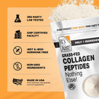 collagen protein for muscle recovery