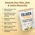 collagen protein powder for athletes