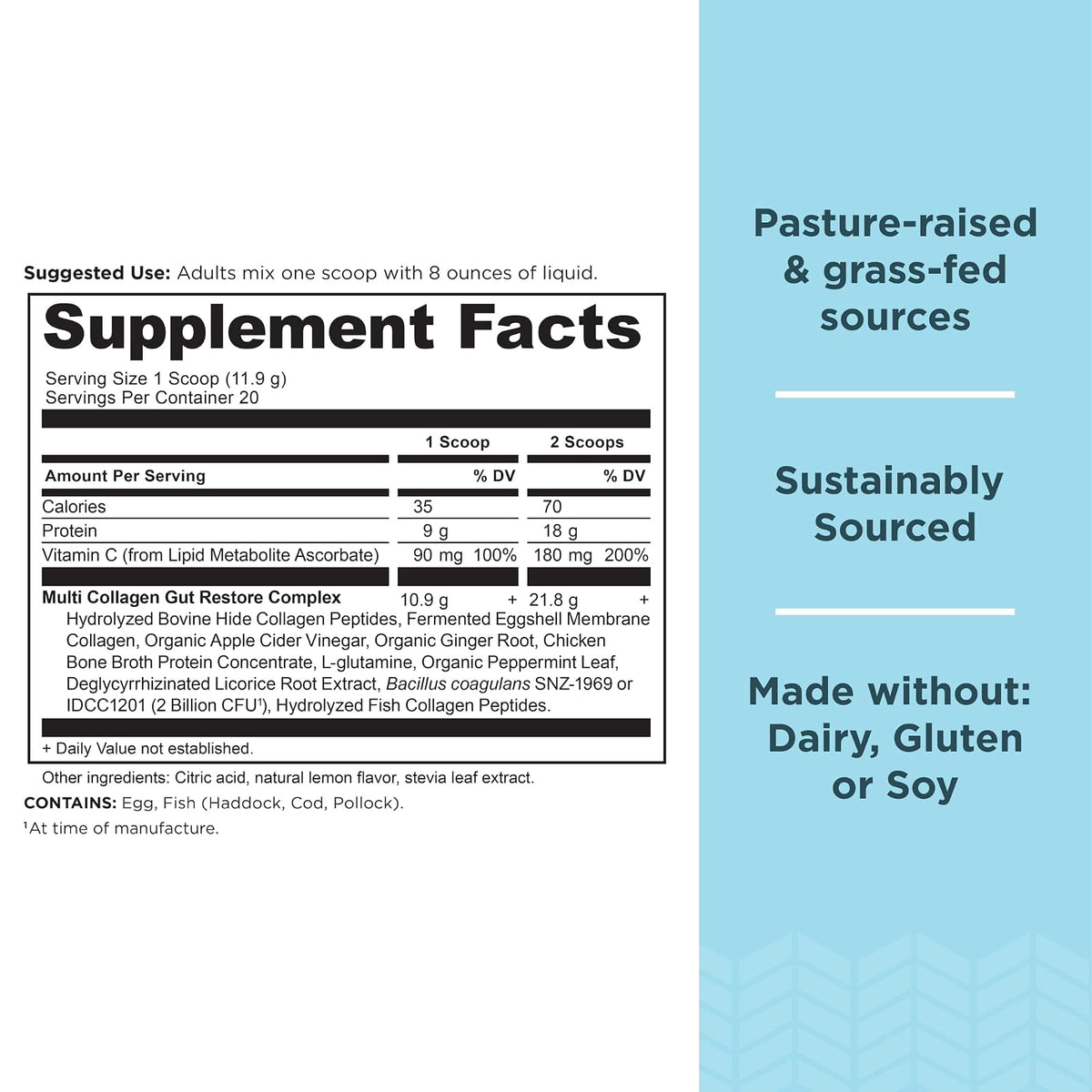 collagen protein powder for skin