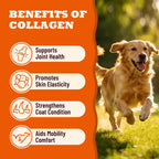 collagen supplement for cats