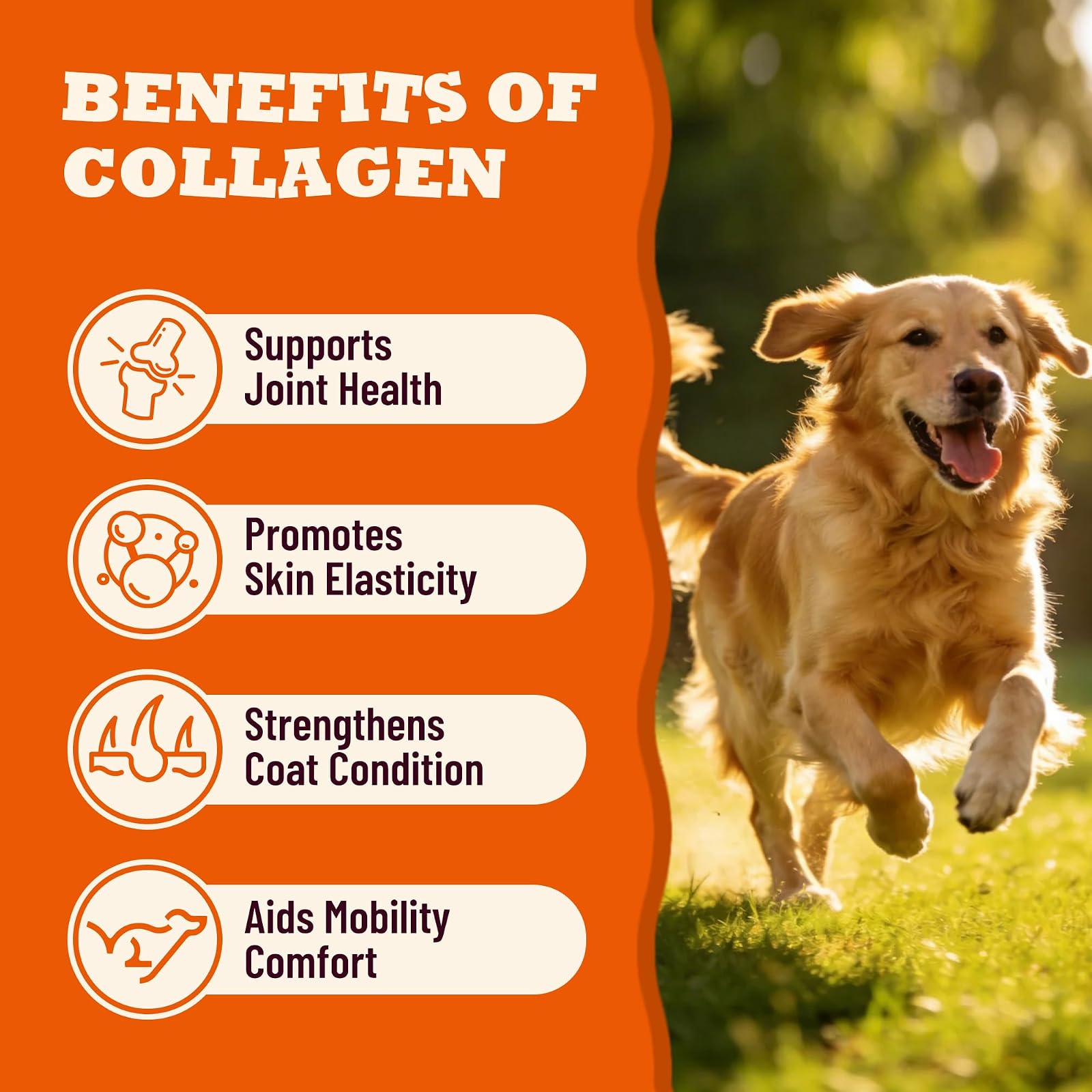 collagen supplement for cats
