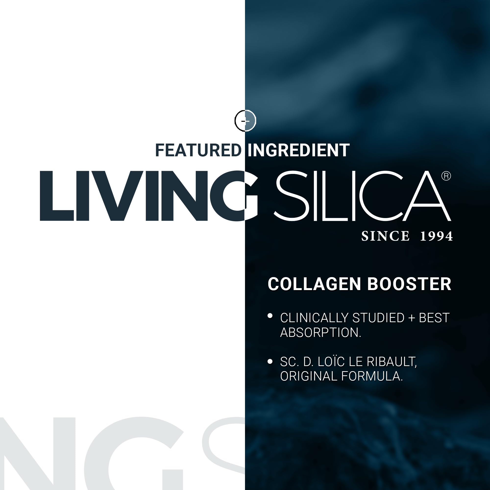 Collagen support for radiant skin