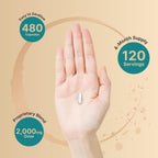 collagen support with hyaluronic acid