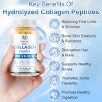 collagen type 2 benefits