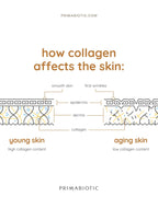 collagen type 2 for athletes