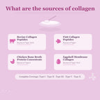 collagen type 2 for better mobility