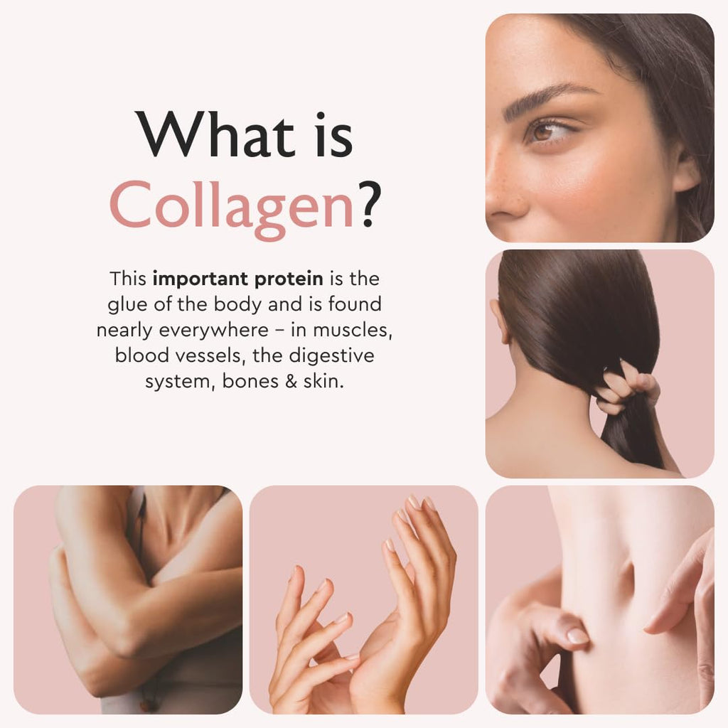collagen type 2 for cartilage support