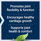 collagen type 2 for cartilage support