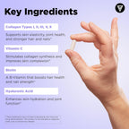 collagen type 2 for flexibility