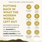 collagen type 2 for flexibility