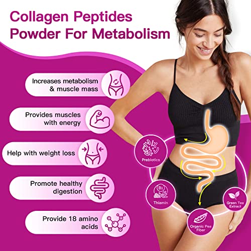 collagen type 2 for flexibility