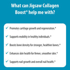 collagen type 2 for flexibility