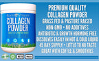 collagen type 2 for flexibility