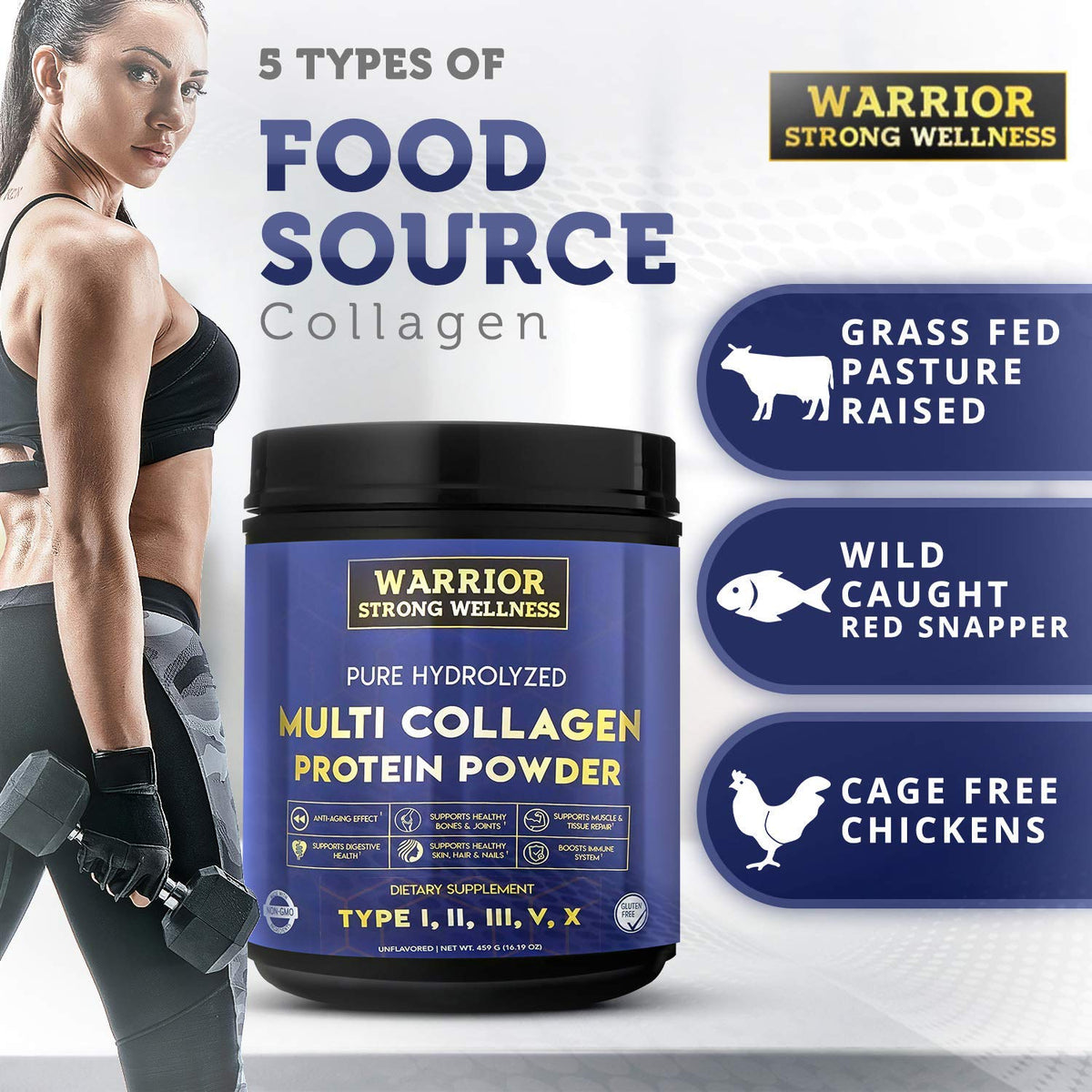 collagen type 2 for flexibility