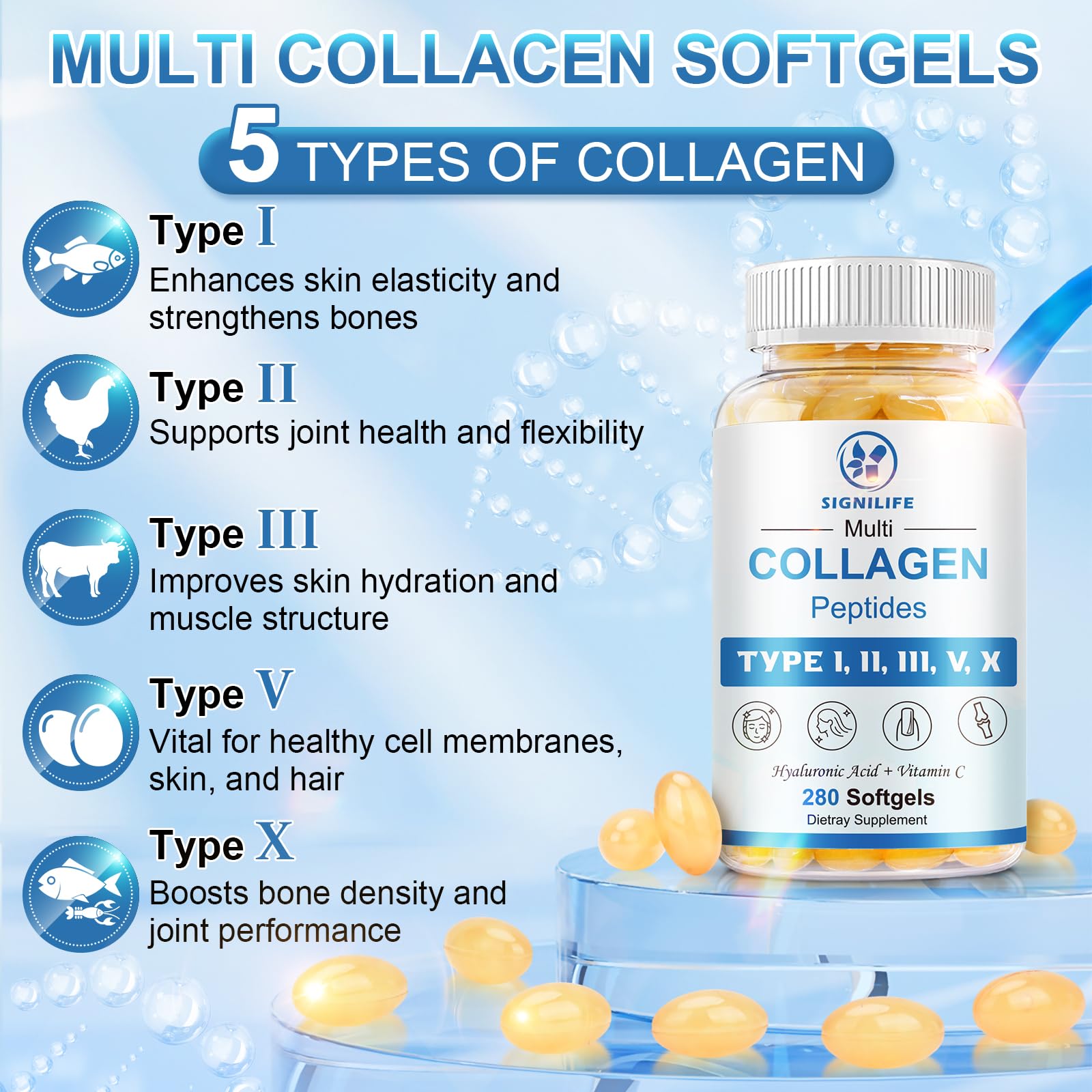 collagen type 2 for flexibility