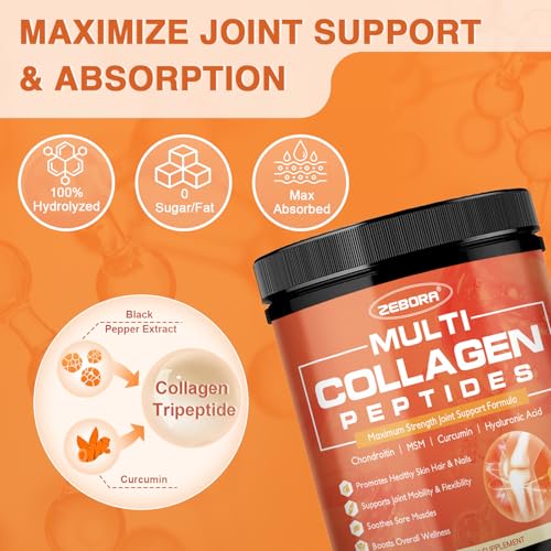 collagen type 2 for flexibility