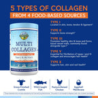 collagen type 2 for flexibility