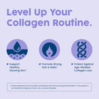 collagen type 2 for flexibility