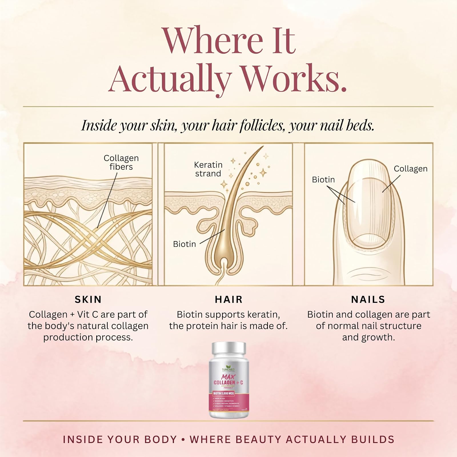 collagen type 2 for flexibility