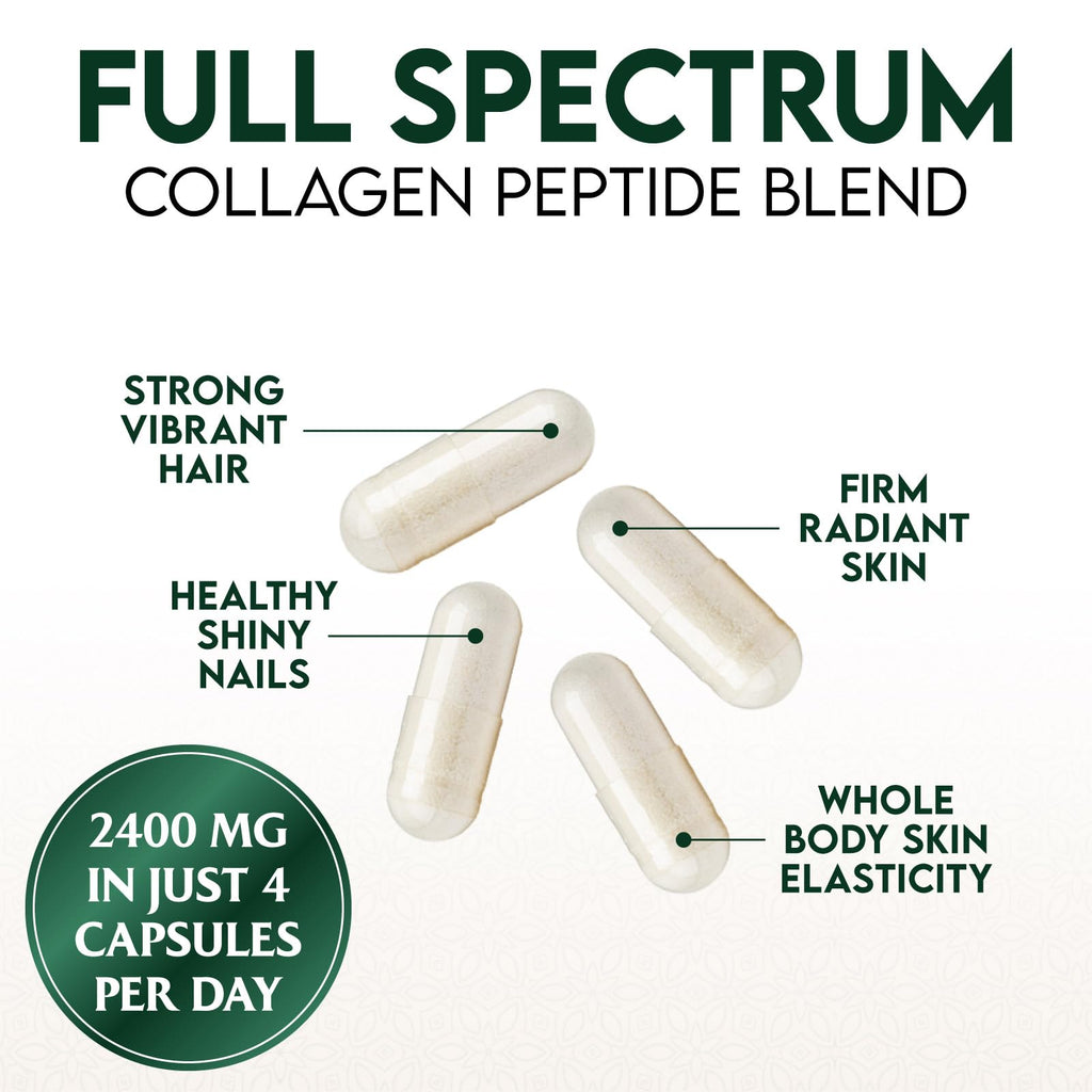 collagen type 2 for flexibility