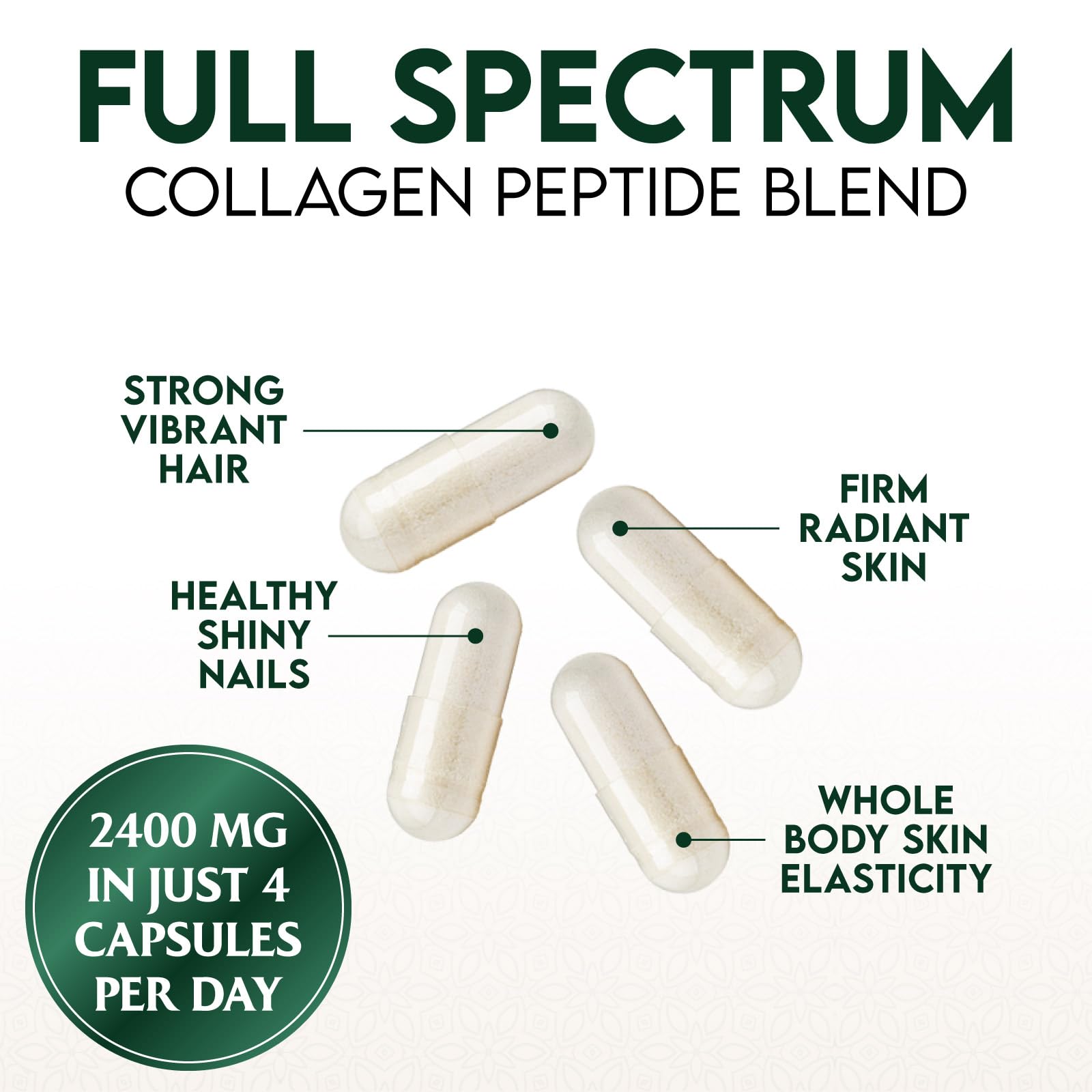 collagen type 2 for flexibility