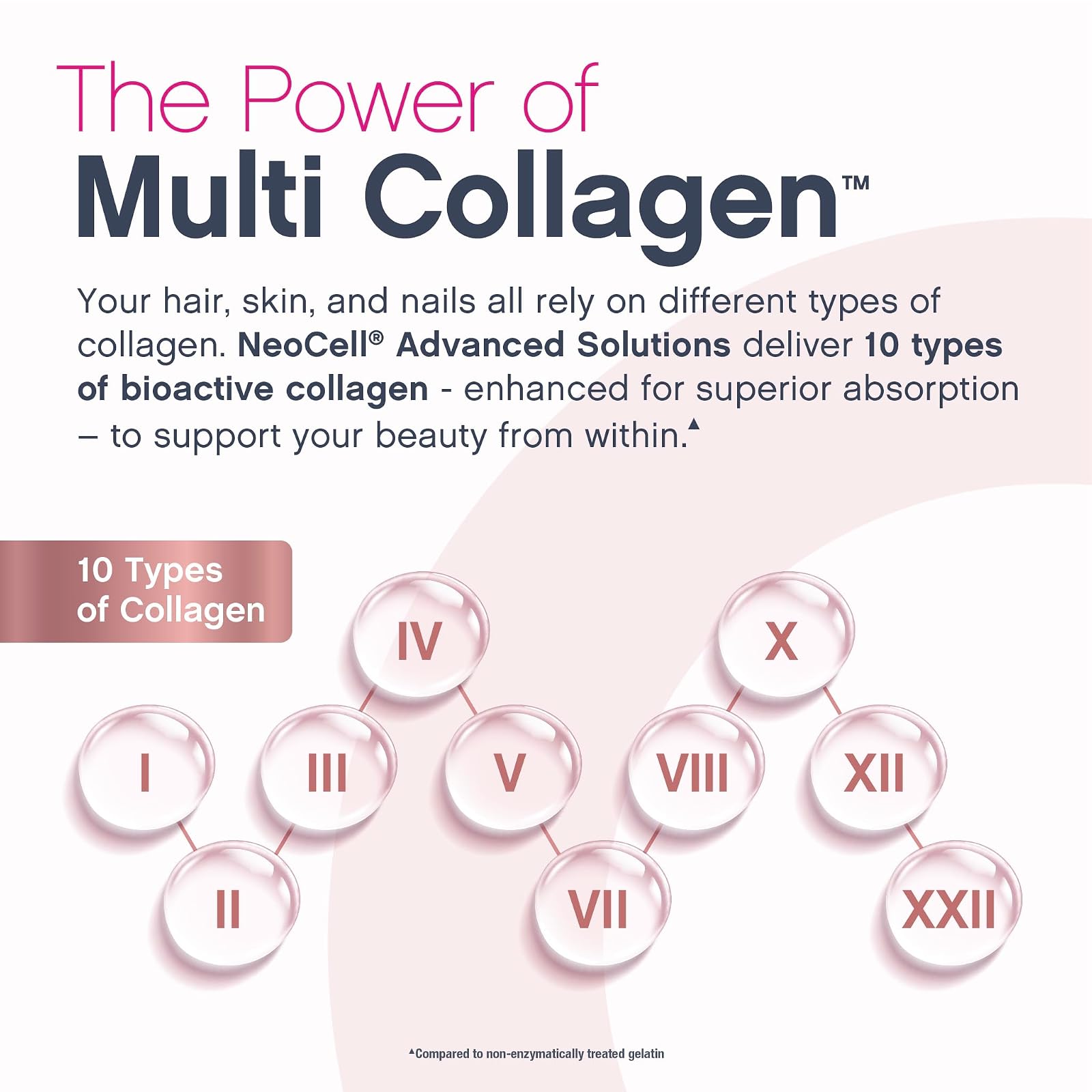 collagen type 2 for flexibility
