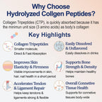 collagen type 2 for flexibility