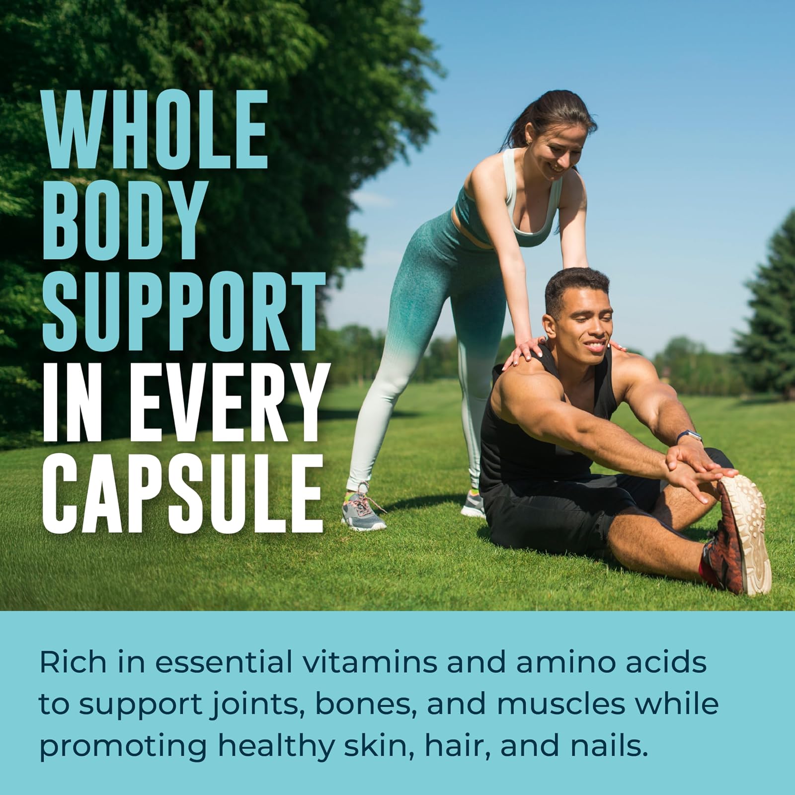collagen type 2 for improved mobility